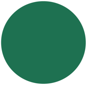 Andrew Frankland | Clincal Psychologist | The Kindred Practice